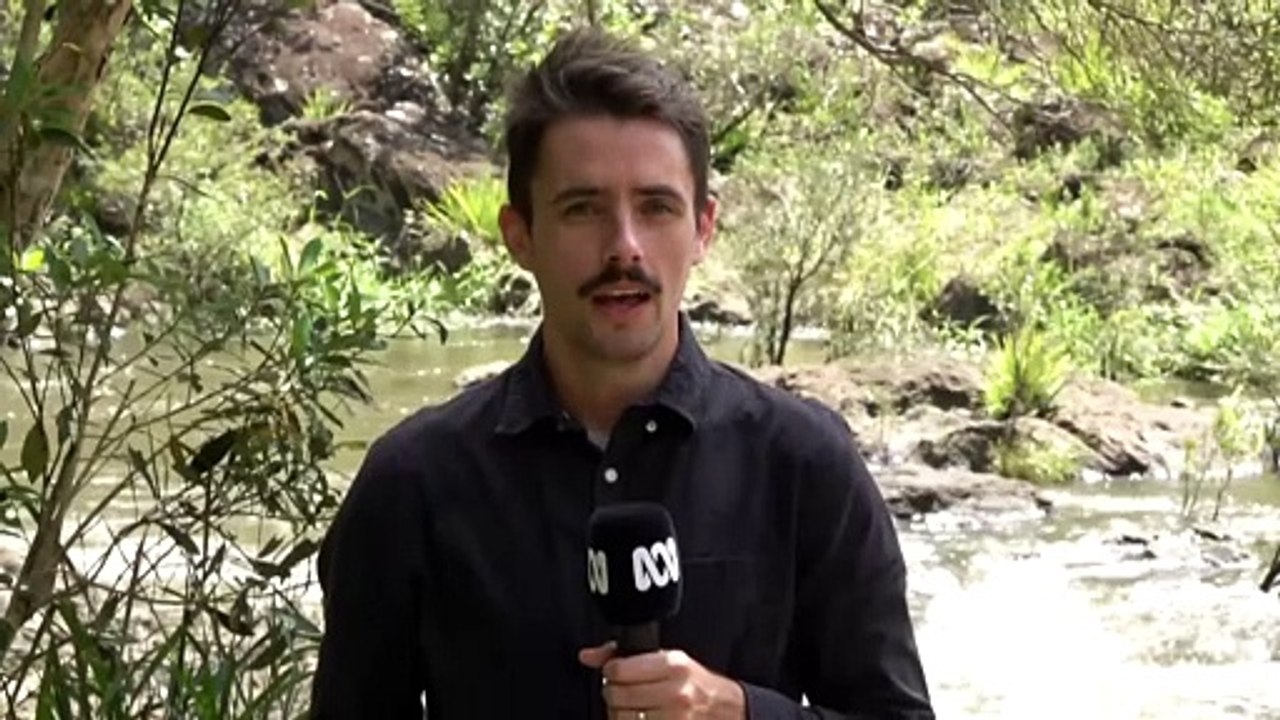 Two teenagers die at Wappa Falls on Sunshine Coast after attempted ...