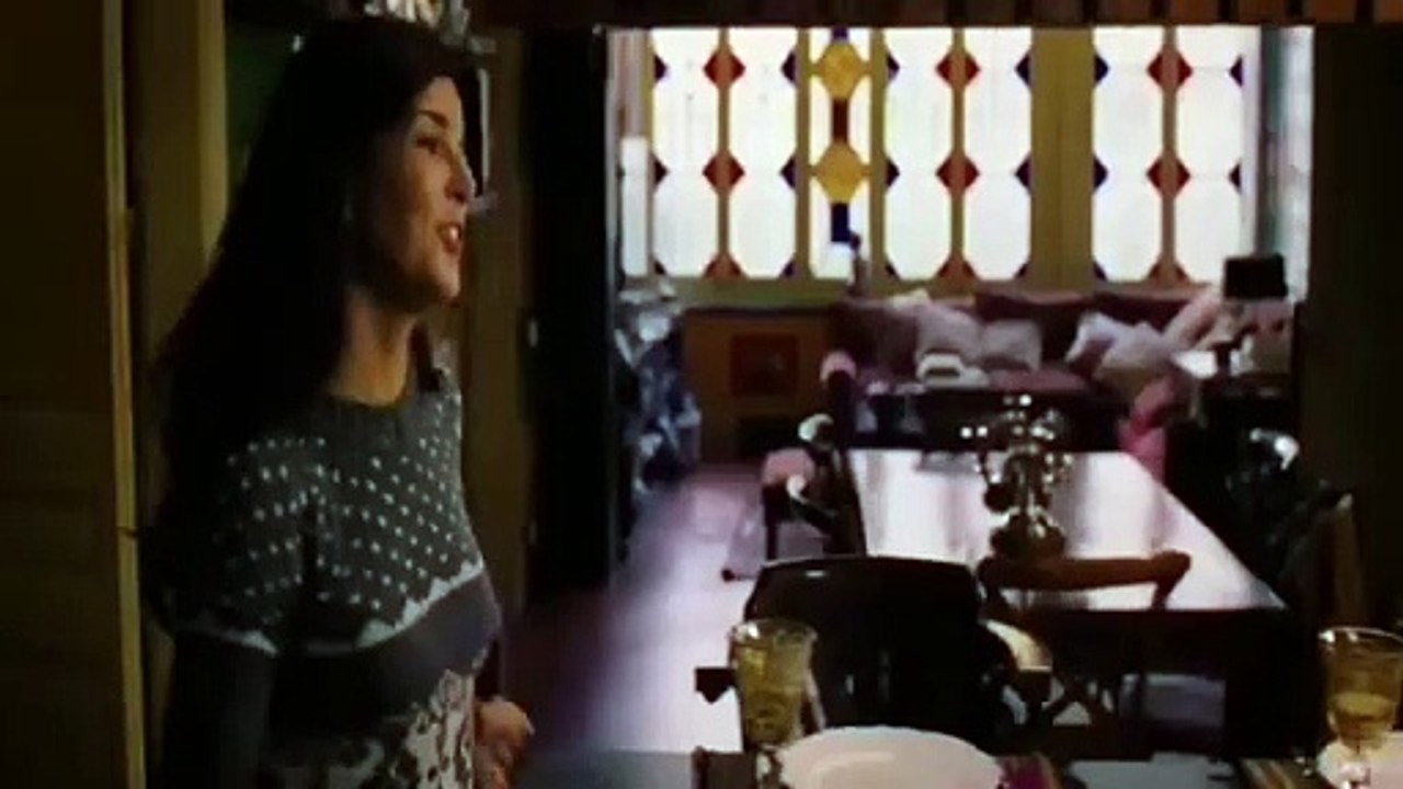 The Hidden Face Movie Explained in English - video Dailymotion