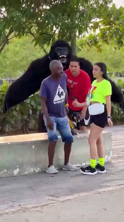 Prank with man,,,,,,, - video Dailymotion