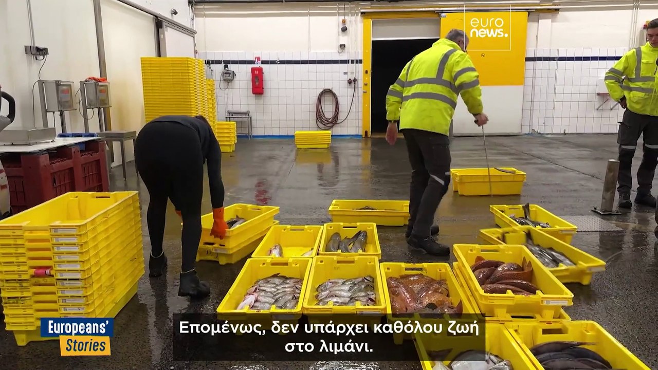 Διατήρηση των δελφινιών και βιοπορισμός των ψαράδων στον Βισκαϊκό Κόλπο ...