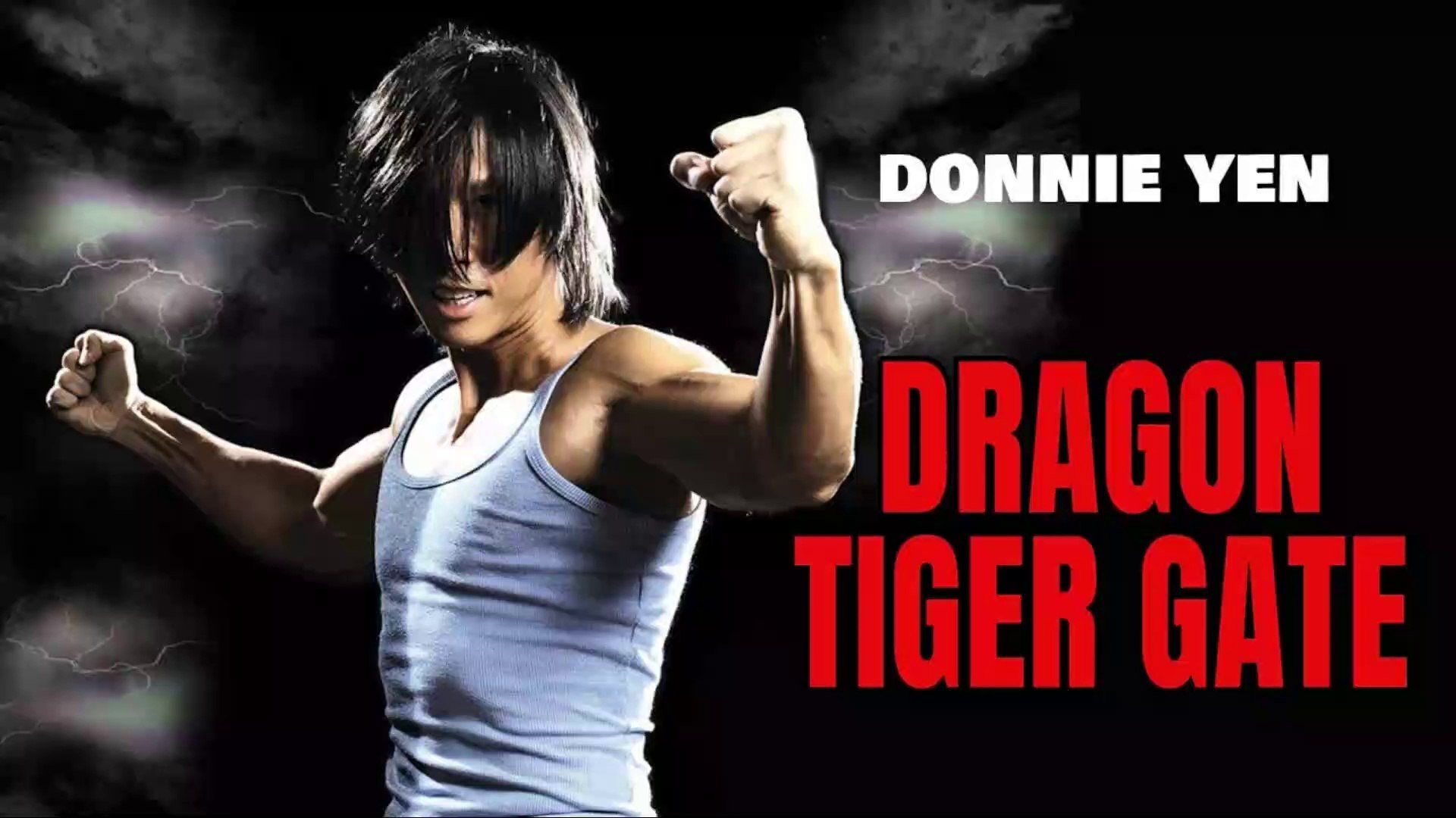Donnie Yen Dragon Tiger Gate Wallpaper Dragon Tiger Gate (2006)