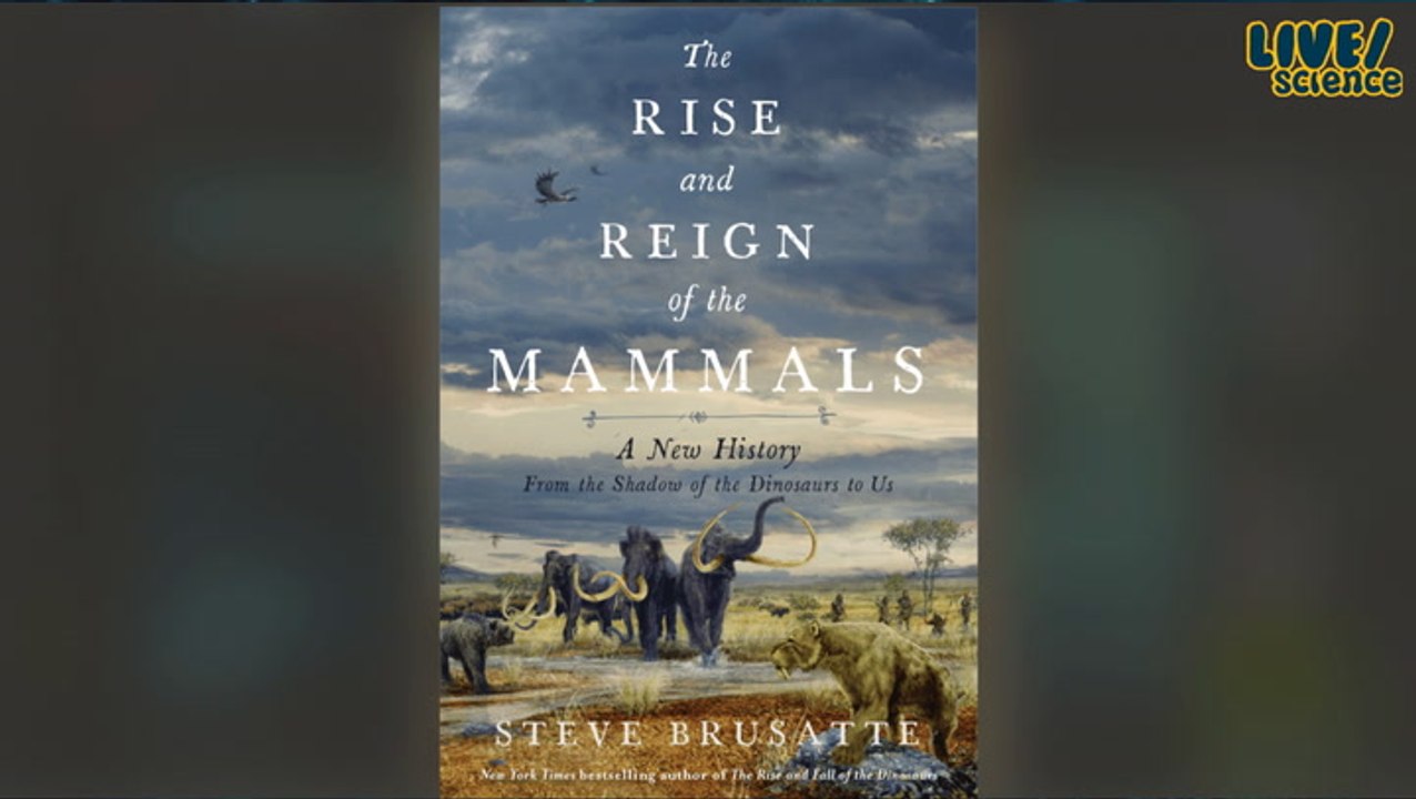 The Rise And Reign of Mammals - video Dailymotion