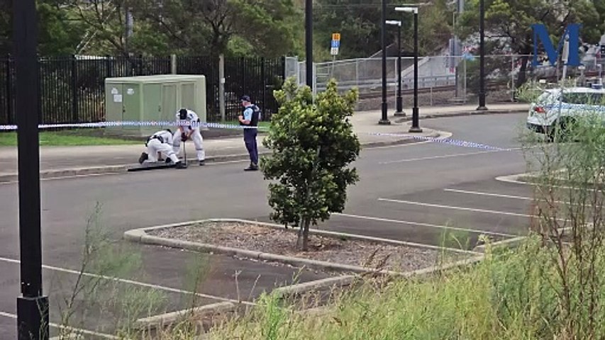 Man dies after being stabbed near Shellharbour Junction train station ...