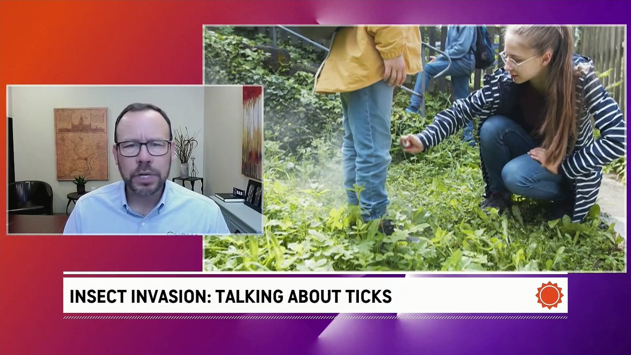 Insect invastion: Talking about ticks - video Dailymotion
