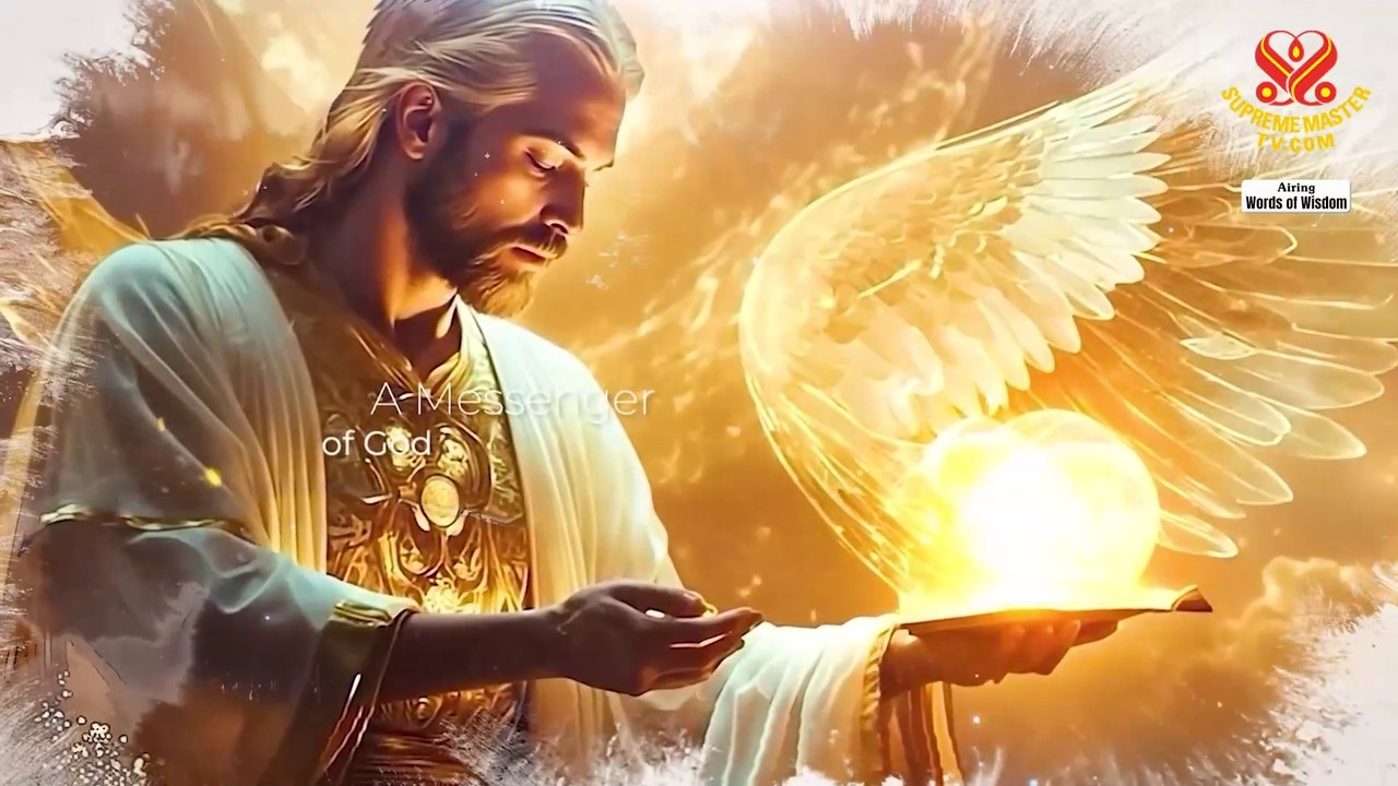 Fate of the Righteous, the Wicked, and the Fallen Angels: From The Book ...