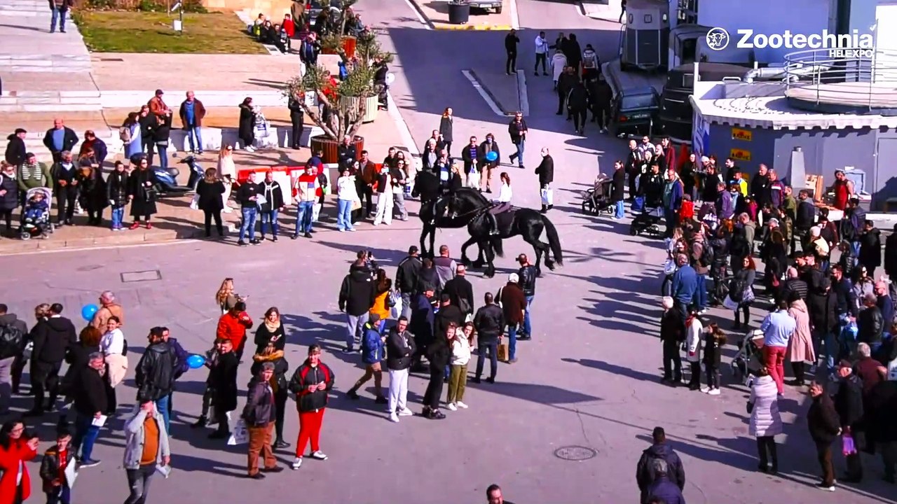 Η 13η Zootechnia από τις 30 Ιανουαρίου έως τις 2 Φεβρουαρίου - video Dailymotion