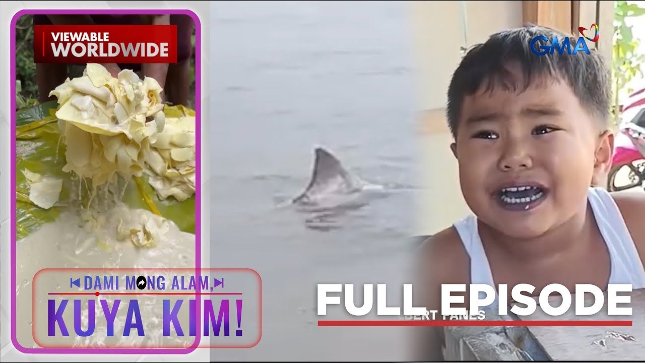 Bata, aksidenteng nakalunok ng bubblegum?; Pating, nakita sa pier ...
