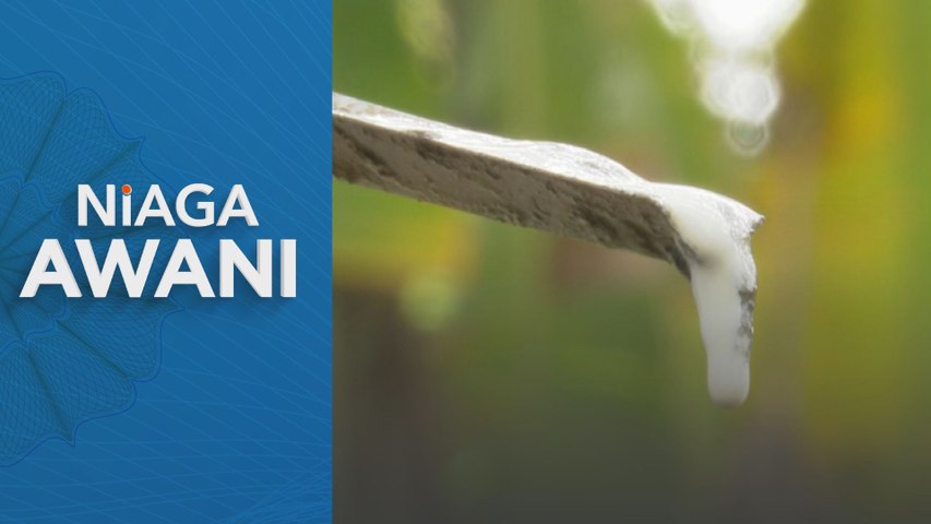 Tiada pembayaran insentif getah untuk pekebun kecil bagi Januari 2025 - LGM | Astro Awani