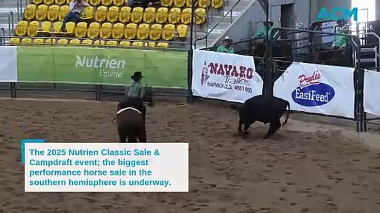 Nutrien Classic Sale and Campdraft 2025 - video Dailymotion