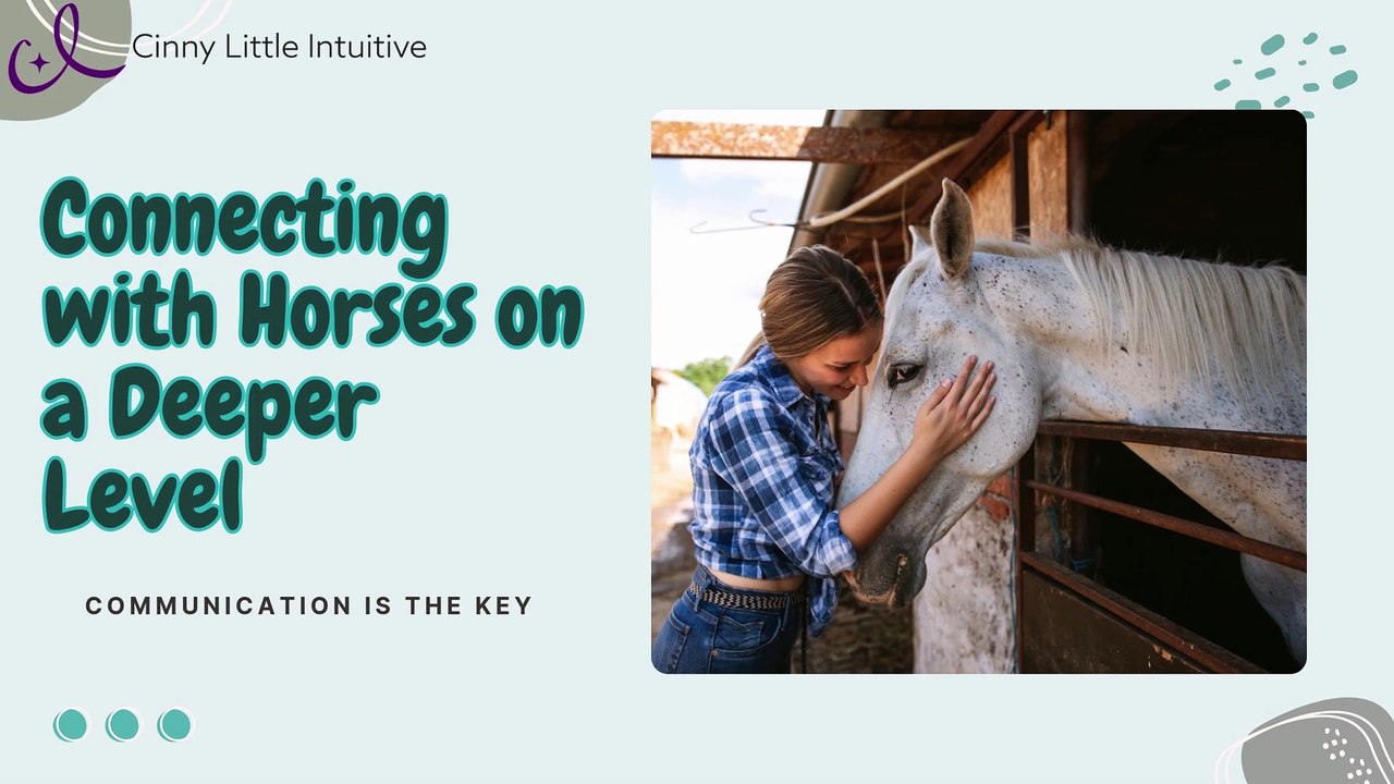 Unlocking Trust and Harmony: Connect with Your Horse on a Deeper Level ...