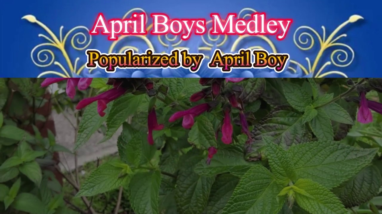 April Boys Medley Video Karaoke - video Dailymotion