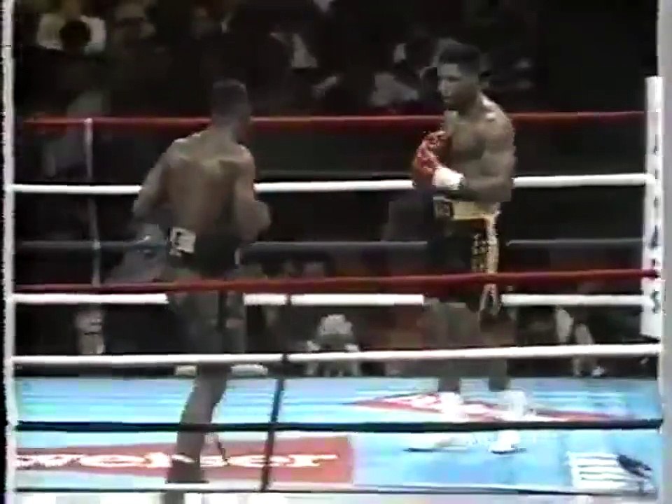 Ray Mercer vs Wesley Watson - video Dailymotion