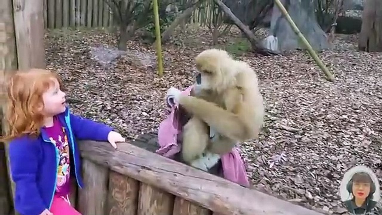 BABY_AND_ANIMAL_-_Crying_Babies_With_Animals_Moments_#2_-_Funny_Baby ...