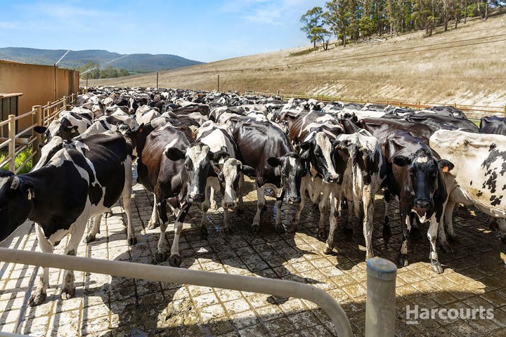 Large-scale dairy farm at Jindivick in West Gippsland for sale | Farm ...