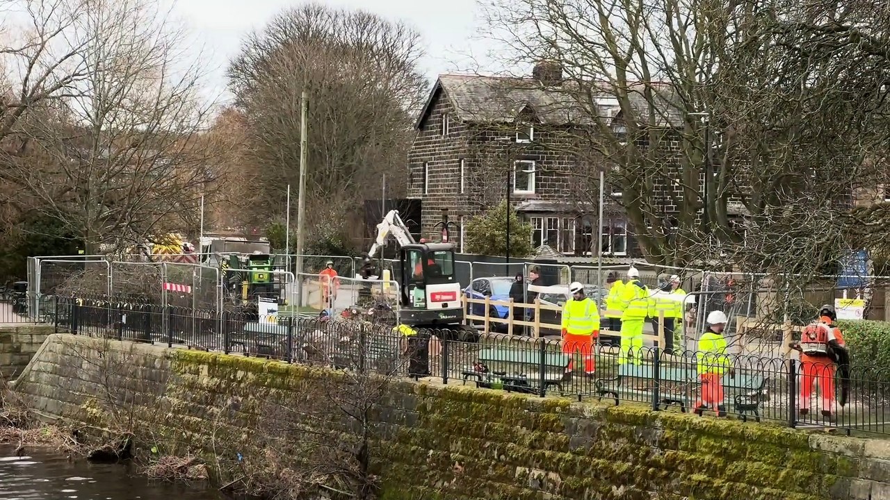 Otley: 180-year-old tree chopped down for new river crossing in Leeds ...