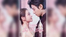Countdown To Heartbreak (Chinese Drama English Subtitles ) - video ...