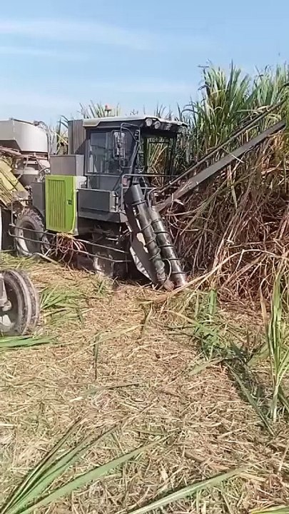 los angeles earthquake today - video Dailymotion