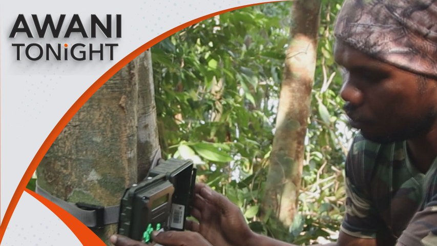 AWANI Tonight: Strengthening tiger conservation in Malaysia | Astro Awani