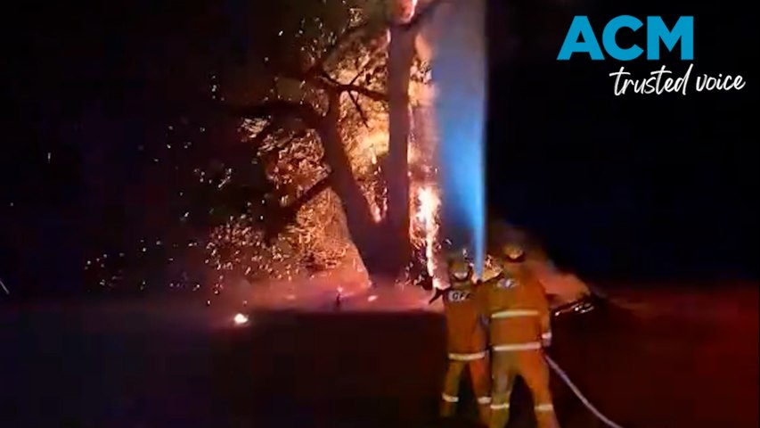 Flaming gum tree left hollow after lightning strike | The Canberra ...