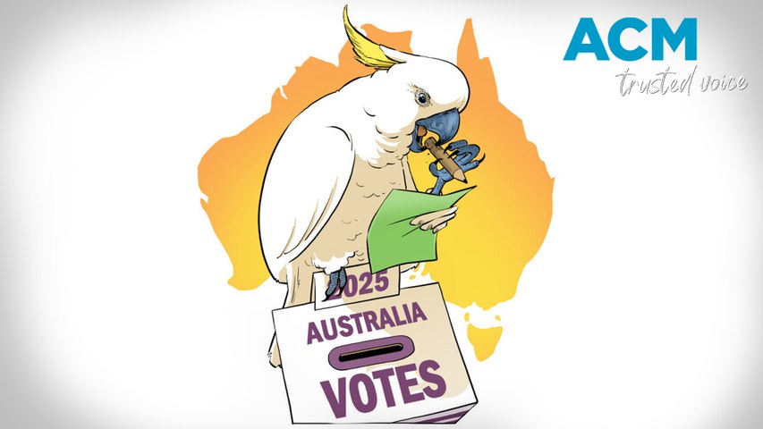 ACM's 2025 election survey | The Canberra Times | Canberra, ACT