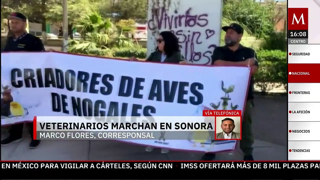 Médicos veterinarios marchan en Sonora, Nogales, por asesinato de ...