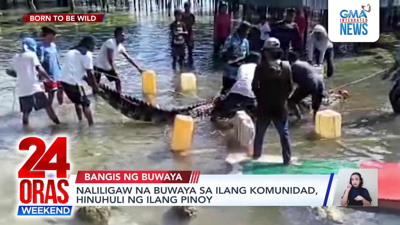 Naliligaw na buwaya sa ilang komunidad, hinuhuli ng ilang Pinoy | 24 Oras Weekend - video ...