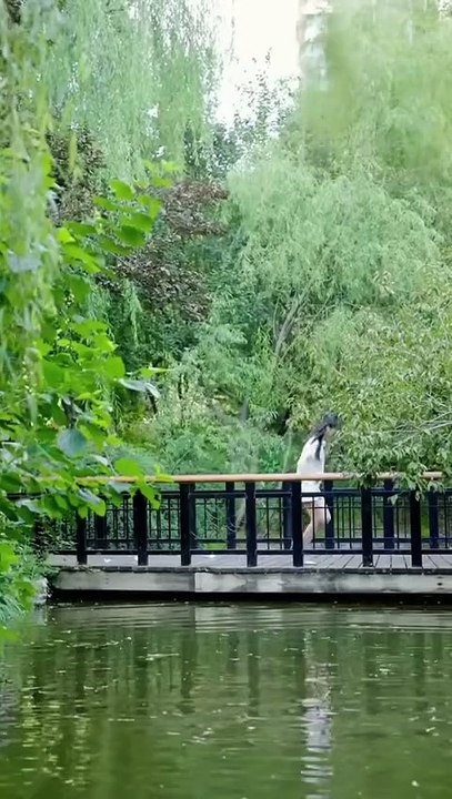 [MULTI SUB] Mr. Bo Got Dumped Again – She lost her memory and loved him ...