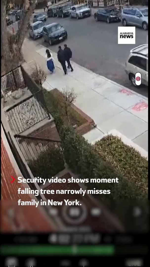 Falling Tree VIDEO: UPS Driver Nearly Hit By Falling Tree In New