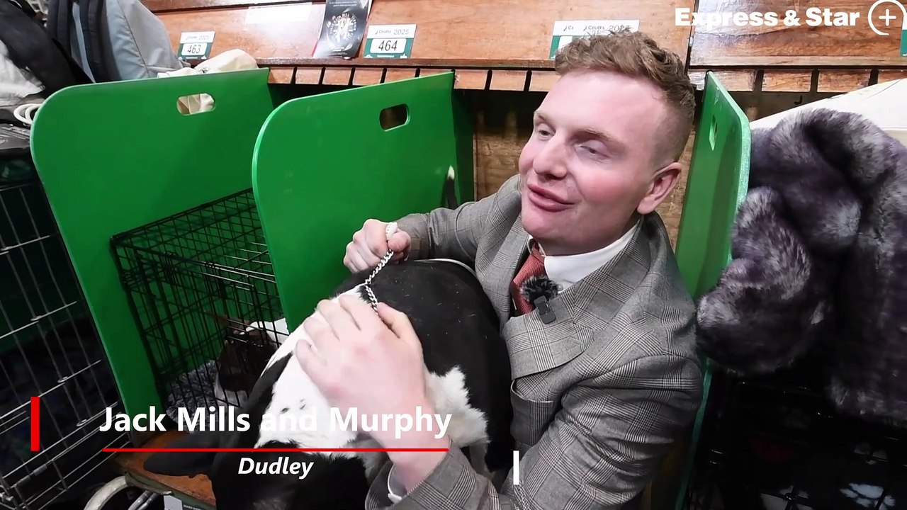 The Express & Star talk to Jack Mills and his dog Murphy from Dudley at ...