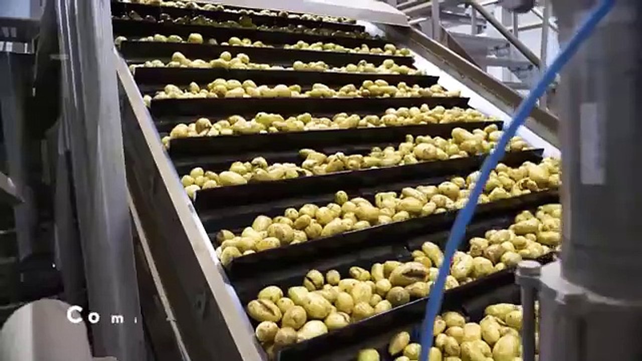 How Pringles Are Made In Factory - video Dailymotion