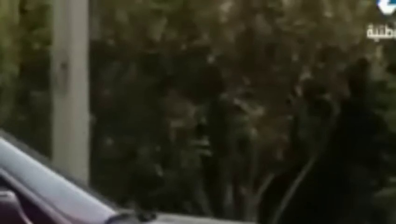 Sahbek Rajel Episode 12 - صاحبك راجل الحلقة 12 - Vidéo Dailymotion