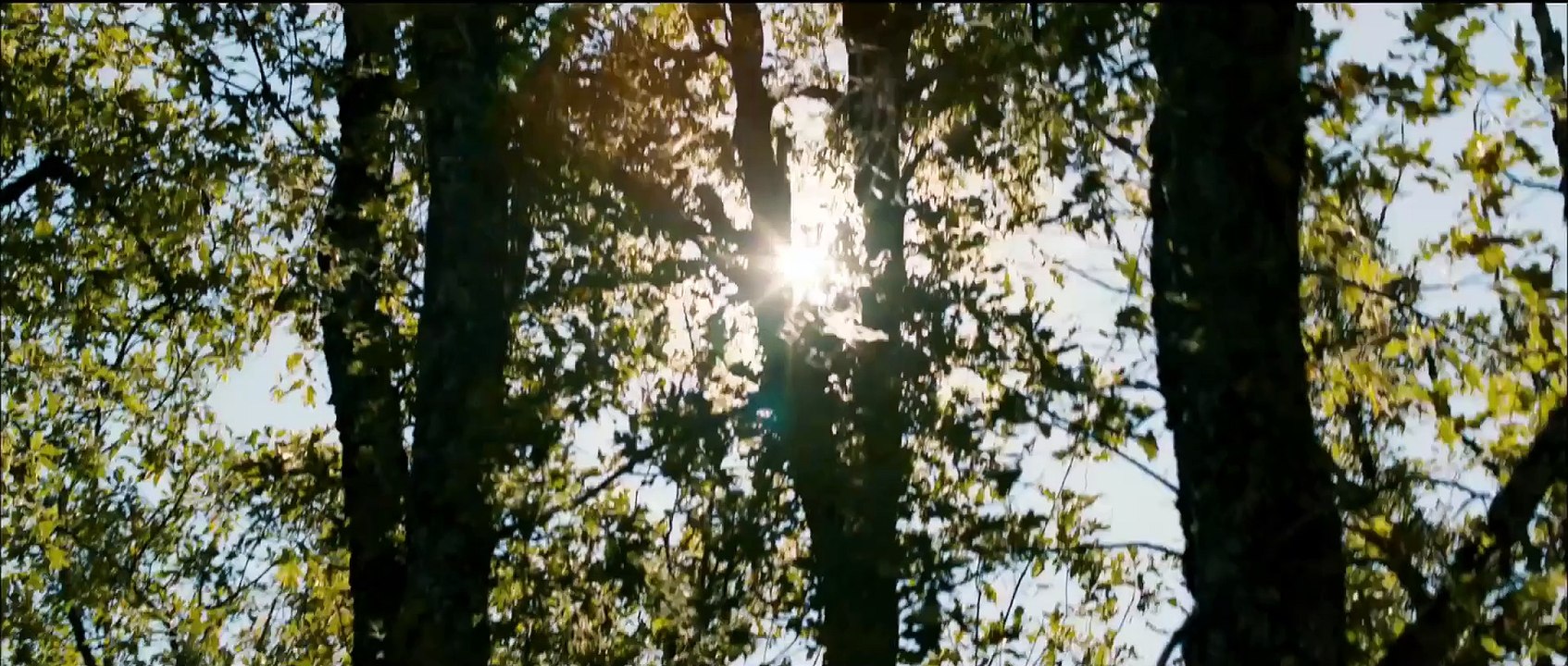 Fin | movie | 2012 | Official Trailer - video Dailymotion