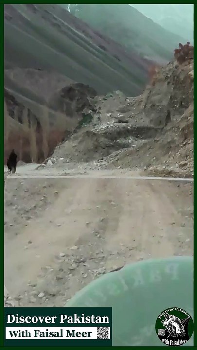 Subscribe Our Channel ( Discover The World With Faisal Meer )For More ...