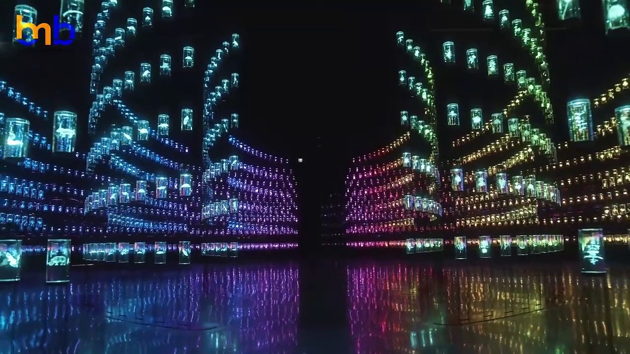 Museum of The Future Tickets Price Activities & Timings - video Dailymotion