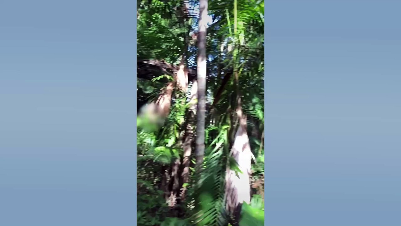 b'ZAP_VIVO_OS_RIBEIRINHOS_AUDIO.mp4' - Vídeo Dailymotion