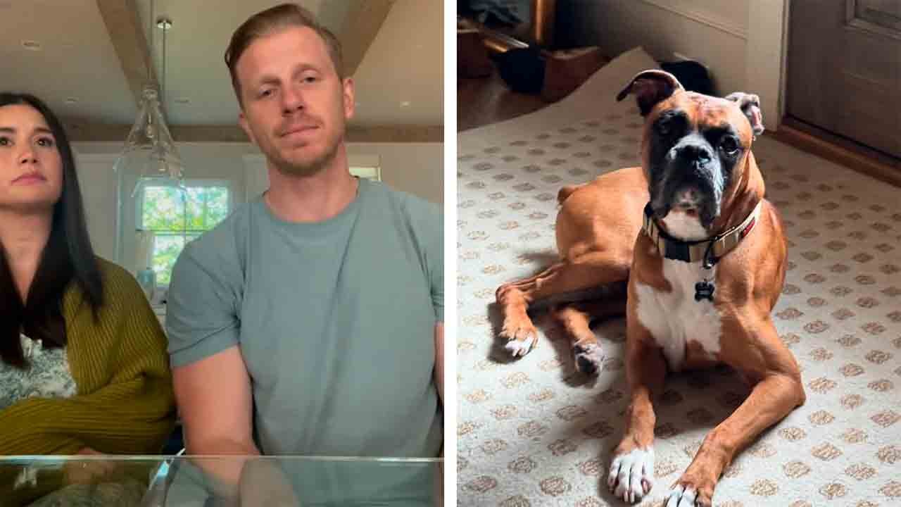 Video: Sean Lowe paljastaa joutuneensa oman koiransa hyökkäyksen ...