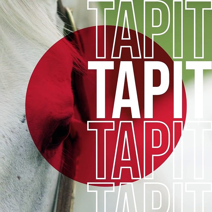 Gainesway-Tapit. 2020. - video Dailymotion