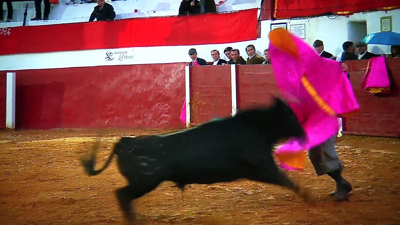 ALFONSO ALONSO AL CAPOTE - Vídeo Dailymotion