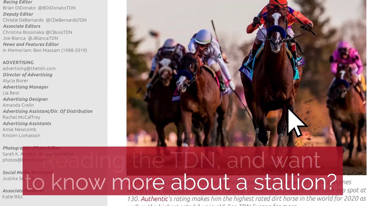 Why Link Your Sire in the TDN? - video Dailymotion