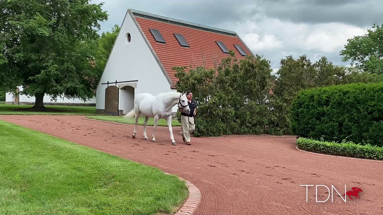 TDN Stallions: Tapit - video Dailymotion
