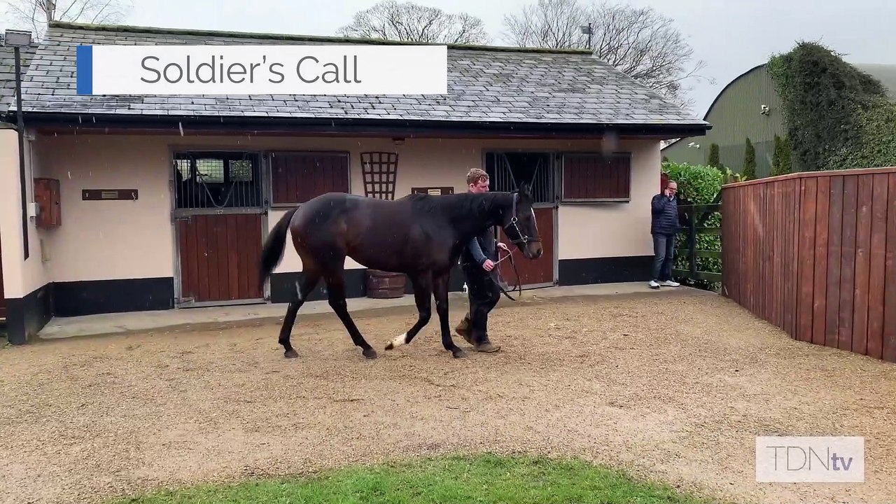 TDN Stallions: Soldier's Call - video Dailymotion
