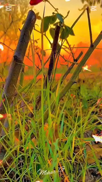 Asa koi bi shaks to dil ka makeen nh ho - video Dailymotion