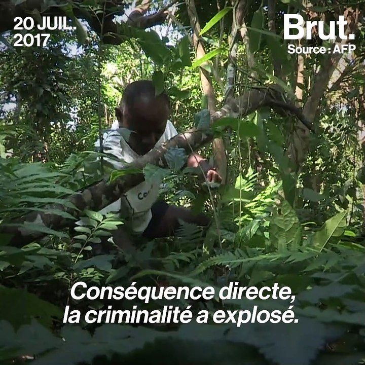 Madagascar : comment le programme Vanilla For Change aide les cultivateurs de vanille - Vidéo ...