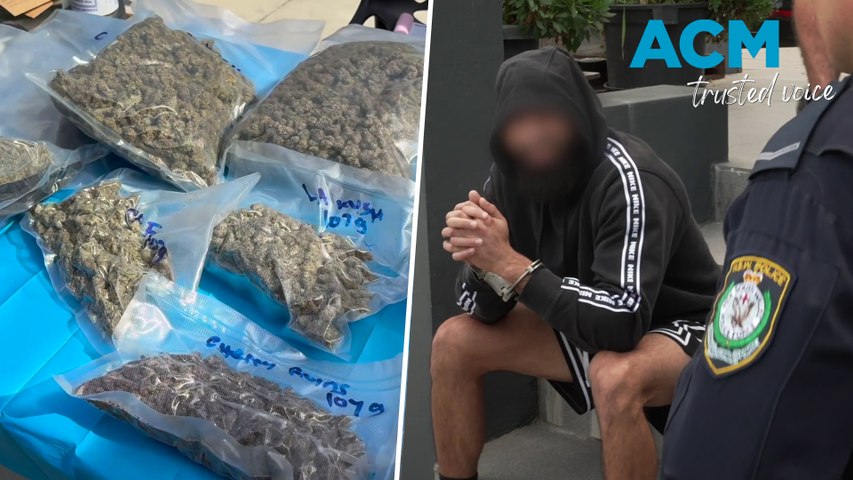 Mass drug bust: Police seize cannabis, edibles, and cash in major sting ...