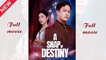 the despised son in law kneel to conquer chinese drama, glory returns ...