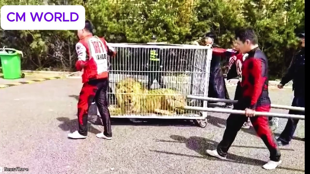 Epic LOL Moments: Top 10 Hilarious Fails & Prank Compilation - video ...