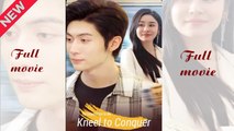 the despised son in law kneel to conquer chinese drama, glory returns ...