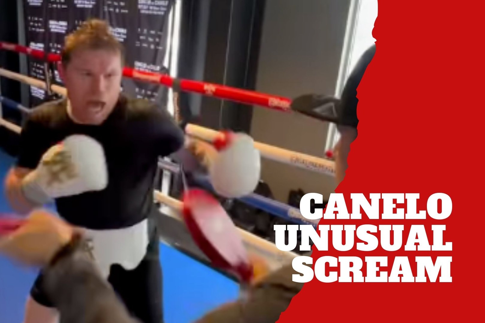 Canelo Alvarez unusual screams during latest boxing session stun fans ...