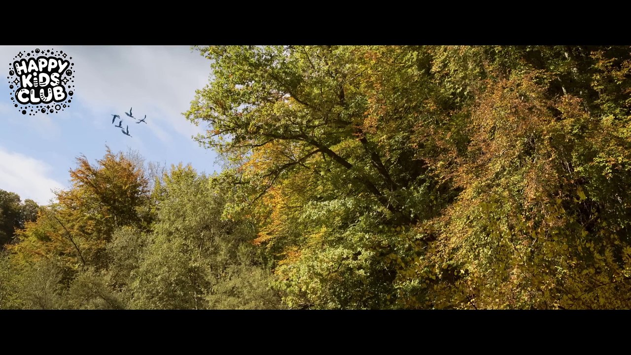 The Fox and the Bird - CGI short film by Fred and Sam Guillaume - video ...