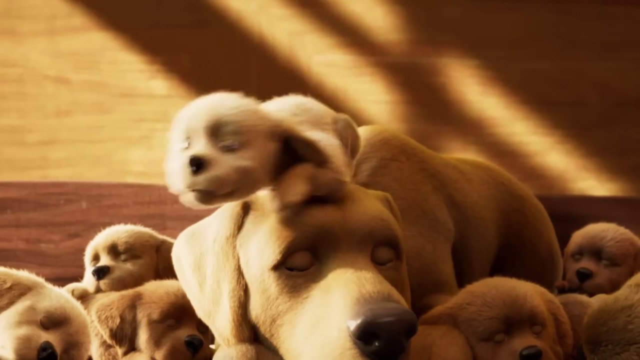 Andy: A Dog's Tale | Full Film | Canine Companions #animation #puppy # ...